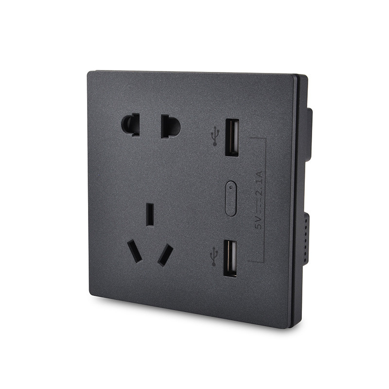 250V 10A Smart Zigbee Wall Socket with USB Charging Ports | PC Series | SWE