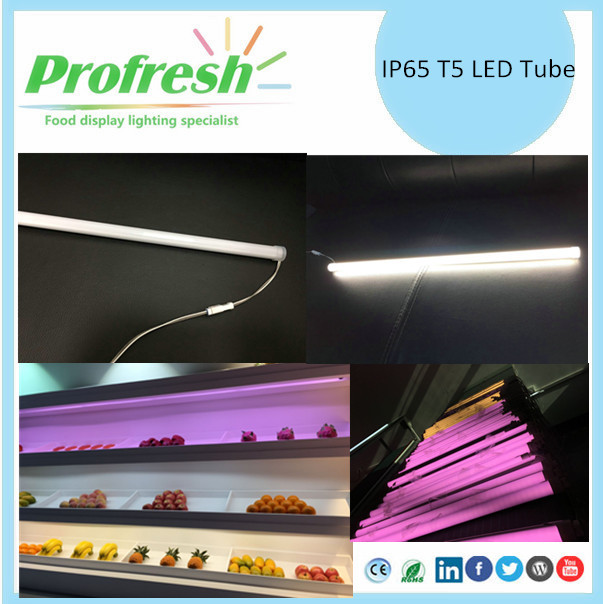 Profresh IP65 T5 LED Tube for butcher shop | LED cooler lights | ProFresh