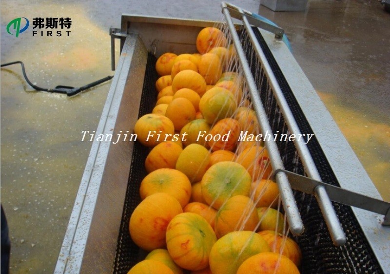 Commercial Potato Peeler Machine/Tomato Peeling machine | Fruit ...