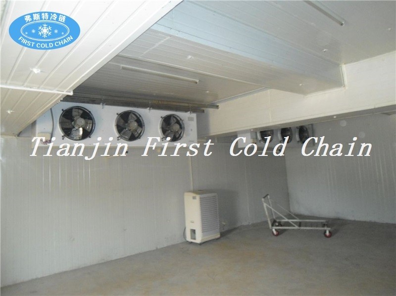 Food Storage Cold Room Freezer Seafood Cold Room - China COLD ROOM ...