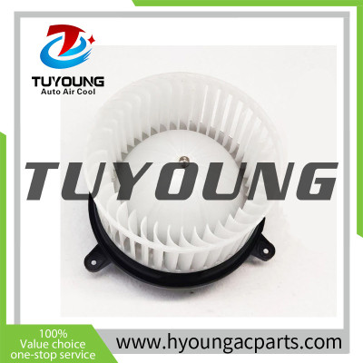 China Auto AC fan motors Manufacturer, Supplier, Factory | TUYoung