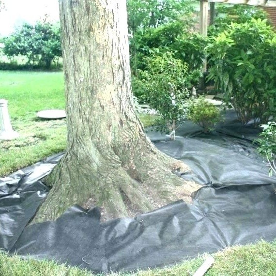Ground Cover | PP Non Woven Weedmat | TAIMEI Tarpaulin Shade Fabric ...