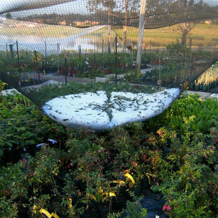 Anti-Hail Net | Anti Hail Net | TAIMEI Tarpaulin Shade Fabric Manufacturer