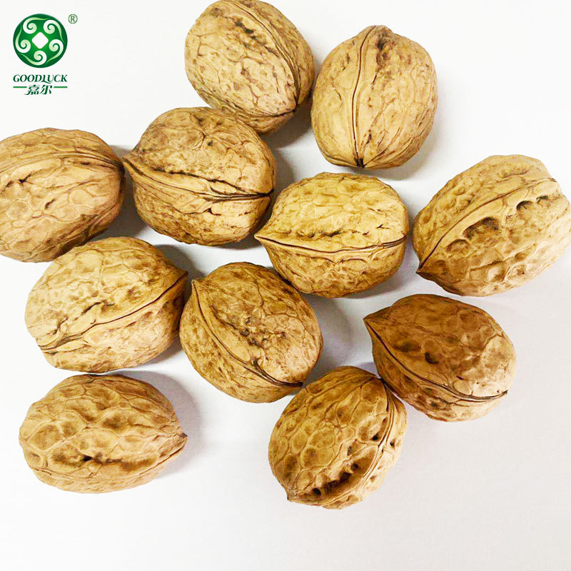 China Xinfeng Walnuts In Shell Walmart Washed And Unwashed Customized ...