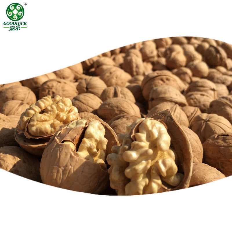 China Bulk 185 Paper-Thin Shell Walnuts In Paper-Thin Shell Are New ...
