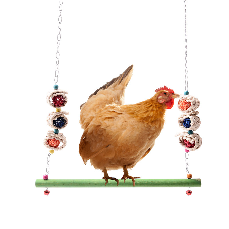 Chicken Ladders Swing Toys, Poultry Coop Toys, Chicken Coop Laddders ...