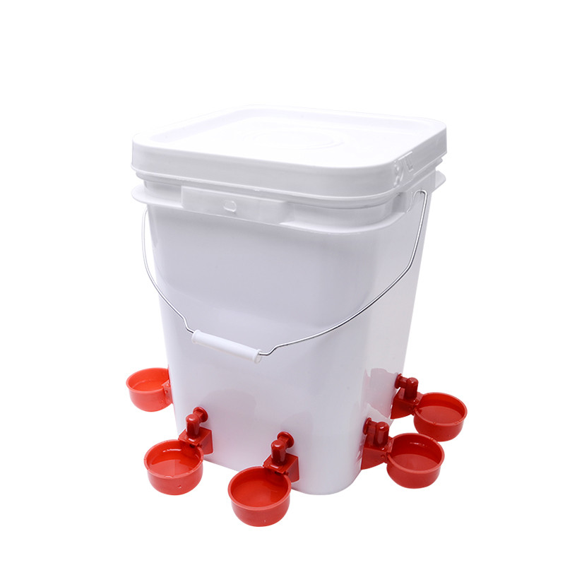 20L Automatic Poultry Waterer Drinker With 6 Water Cups , Chick Waterer ...