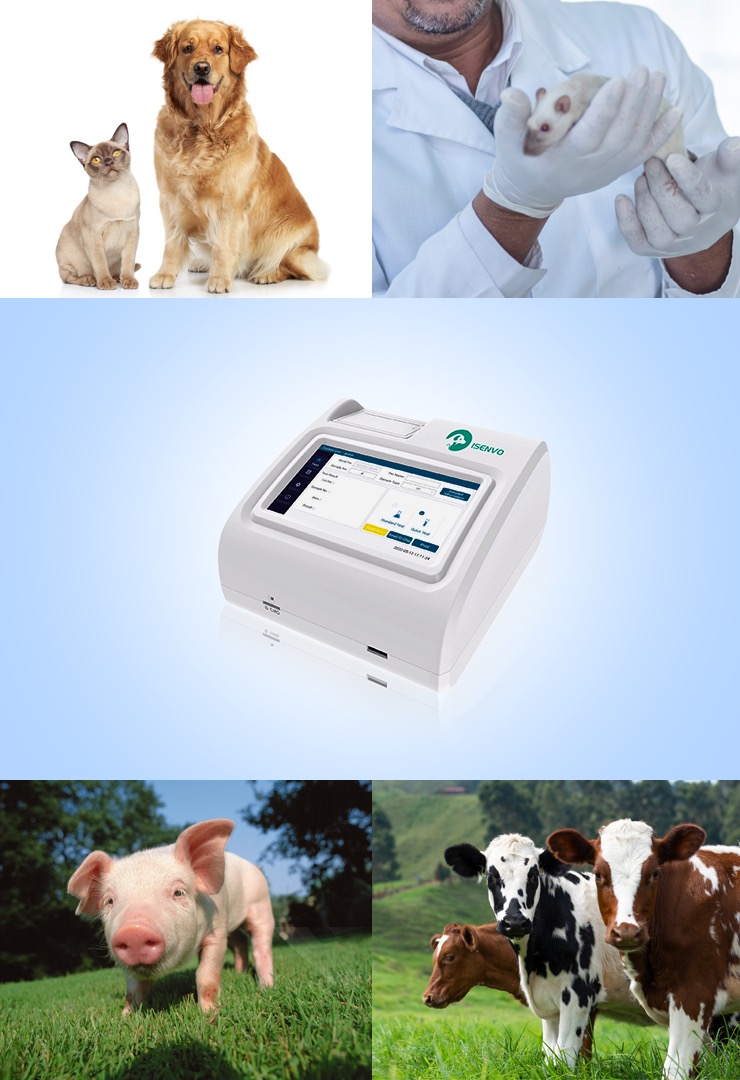 China Pet Microchip, RFID Microchip Reader, PCR Fluorescence Detector ...