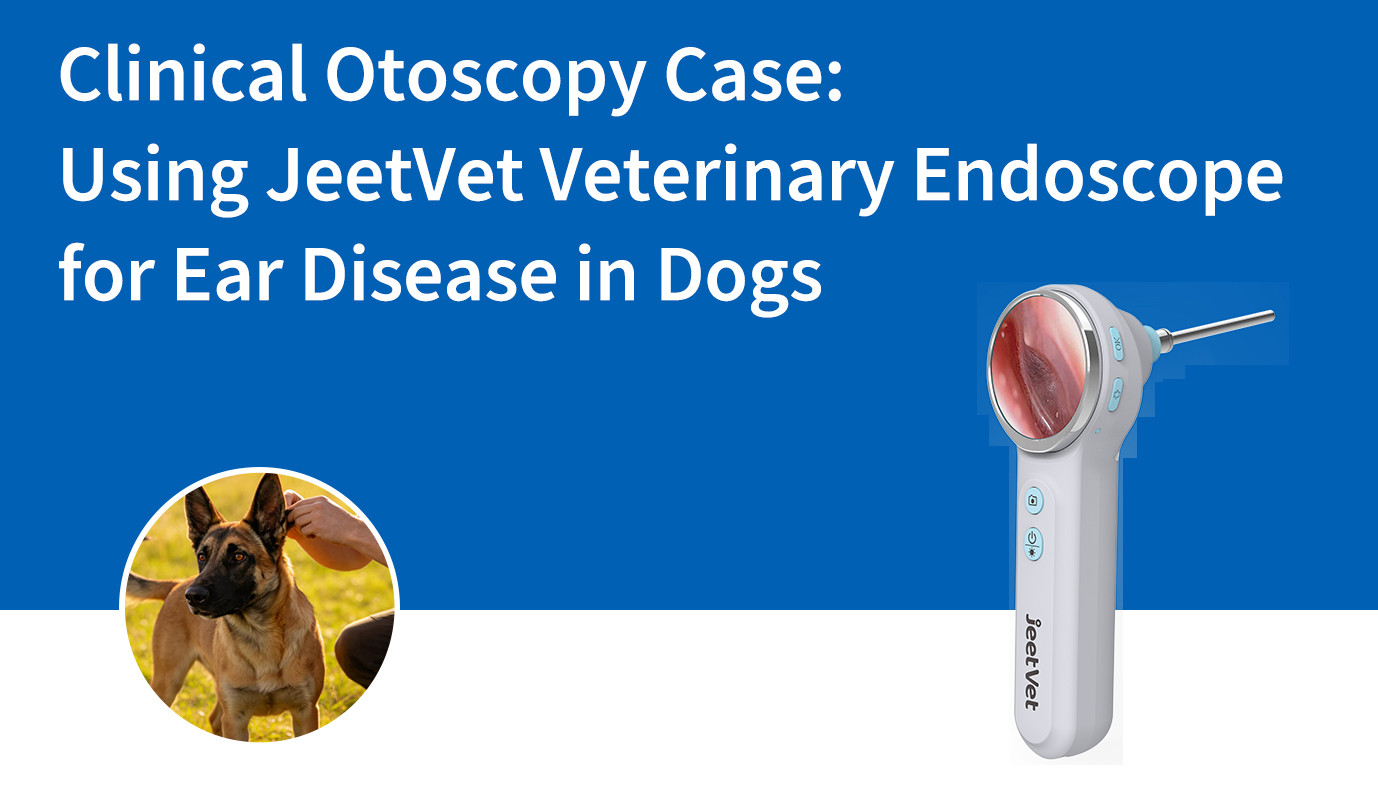 Clinical Otoscopy Case: Using JeetVet Veterinary Endoscope for Ear ...