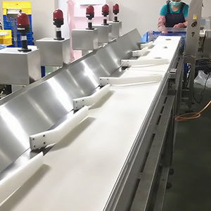 Weight Sorting Machine: Optimize Agriculture Produce Sorting