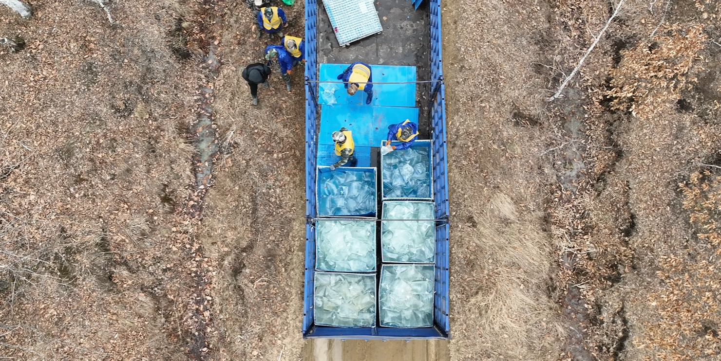 How to Preserve, Transport, and Apply Birch Sap in Functional Beverages?